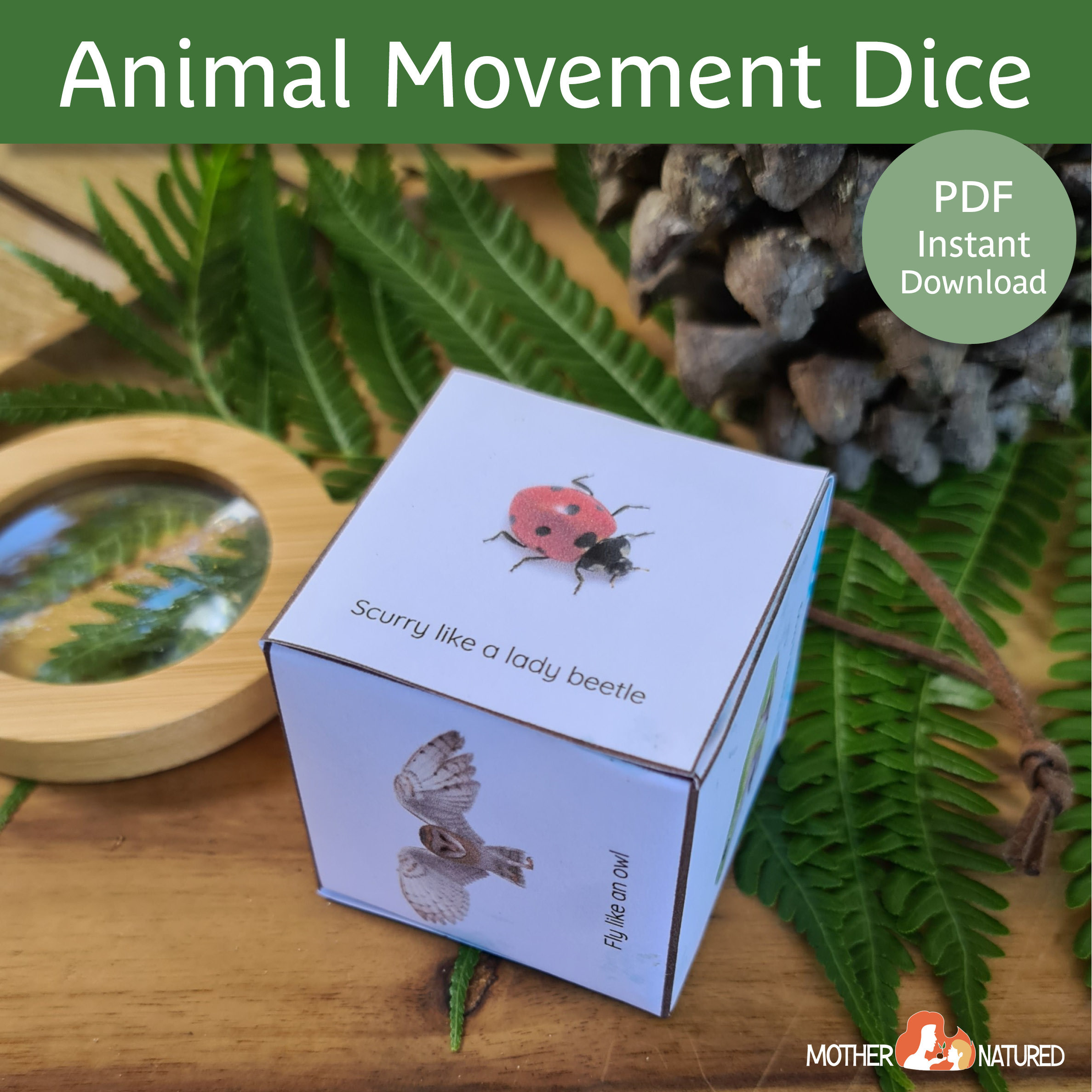 Animal Movement Dice Animal Activity for Kids Movement Activity for ...