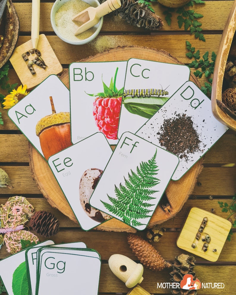 Alphabet Flash Cards | Preschool Alphabet Cards | Nature Alphabet Flash ...