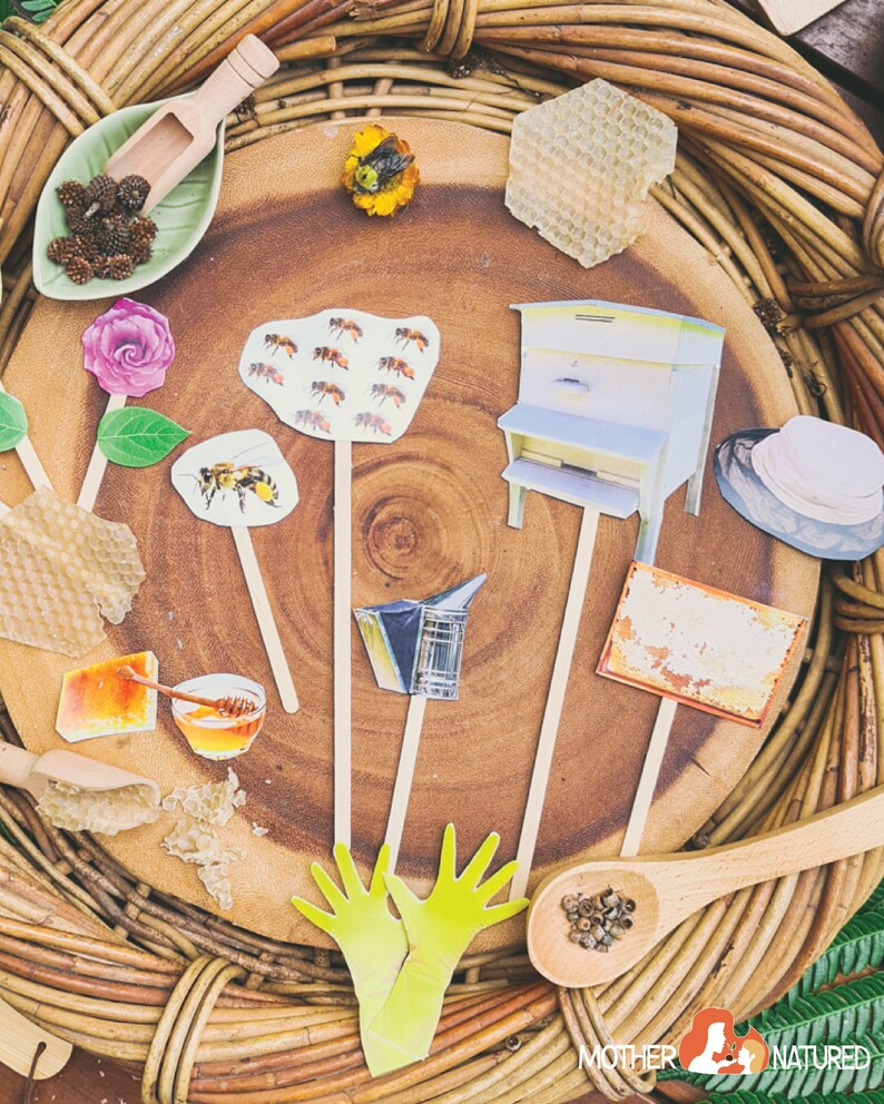 World Bee Day Printable Activity Pack | Bee Life Cycle, Bee Crafts, Bee ...