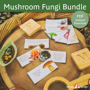 Fungi Study Bundle | Mushroom Study Bundle | Fungi Printables ...