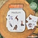 Animal Sorting Activity | Nature Sorting Activity | Outdoor Math ...