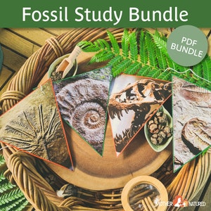 FOSSIL Printables for Kids | Fossil Bundle | Dinosaur Digital Download ...