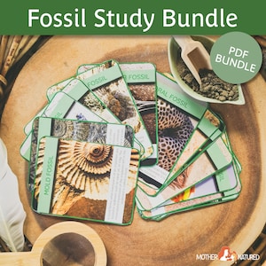 FOSSIL Printables for Kids | Fossil Bundle | Dinosaur Digital Download ...