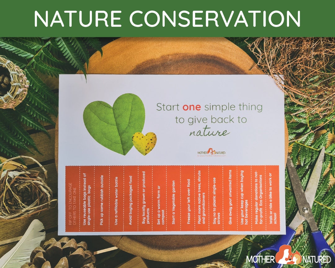 Nature Conservation Activities for Families | Nature Conservation ...