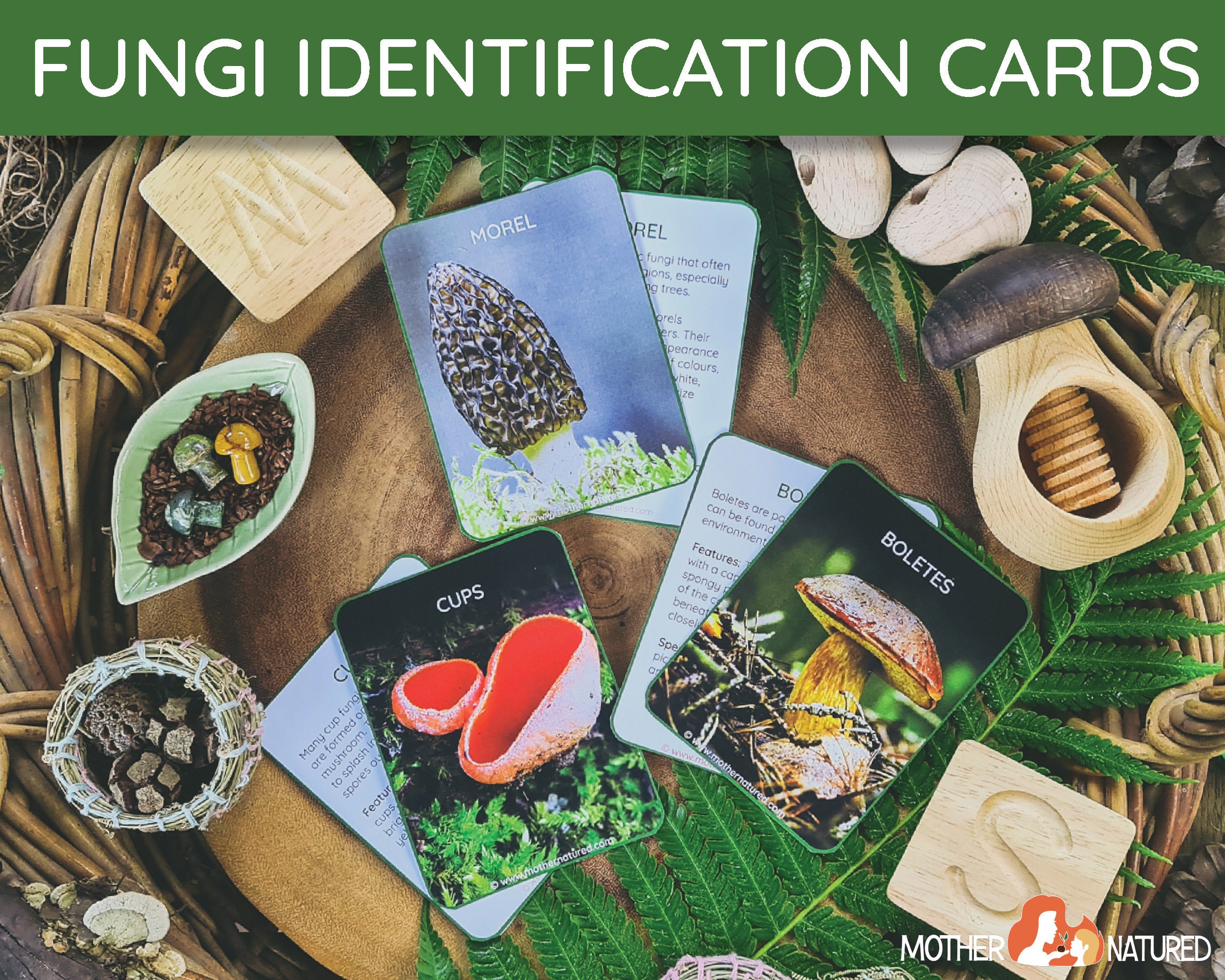 Fungi Study Bundle Mushroom Study Bundle Fungi Printables - Etsy