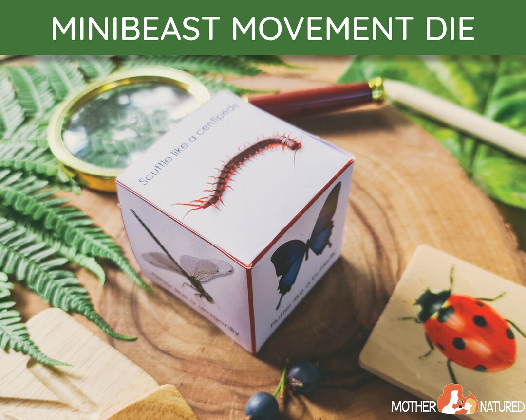 Minibeast Movement Dice | Minibeast Game | Minibeast Activity ...