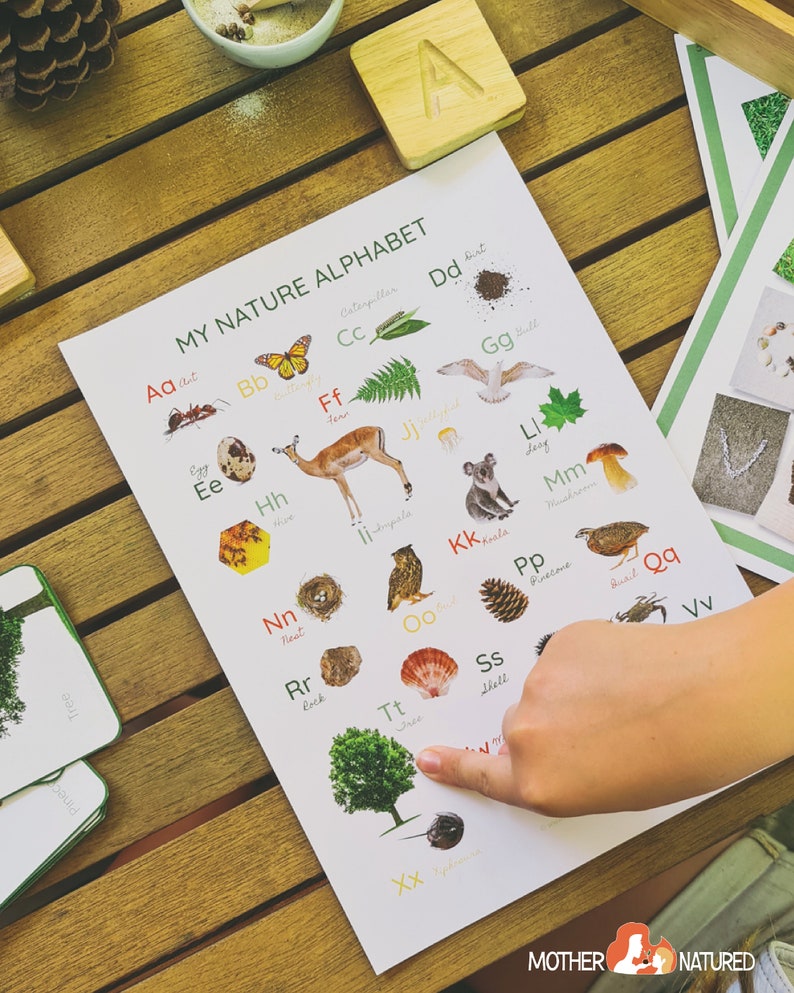 Nature Classroom Poster | Nature Classroom Decoration | Nature Alphabet ...