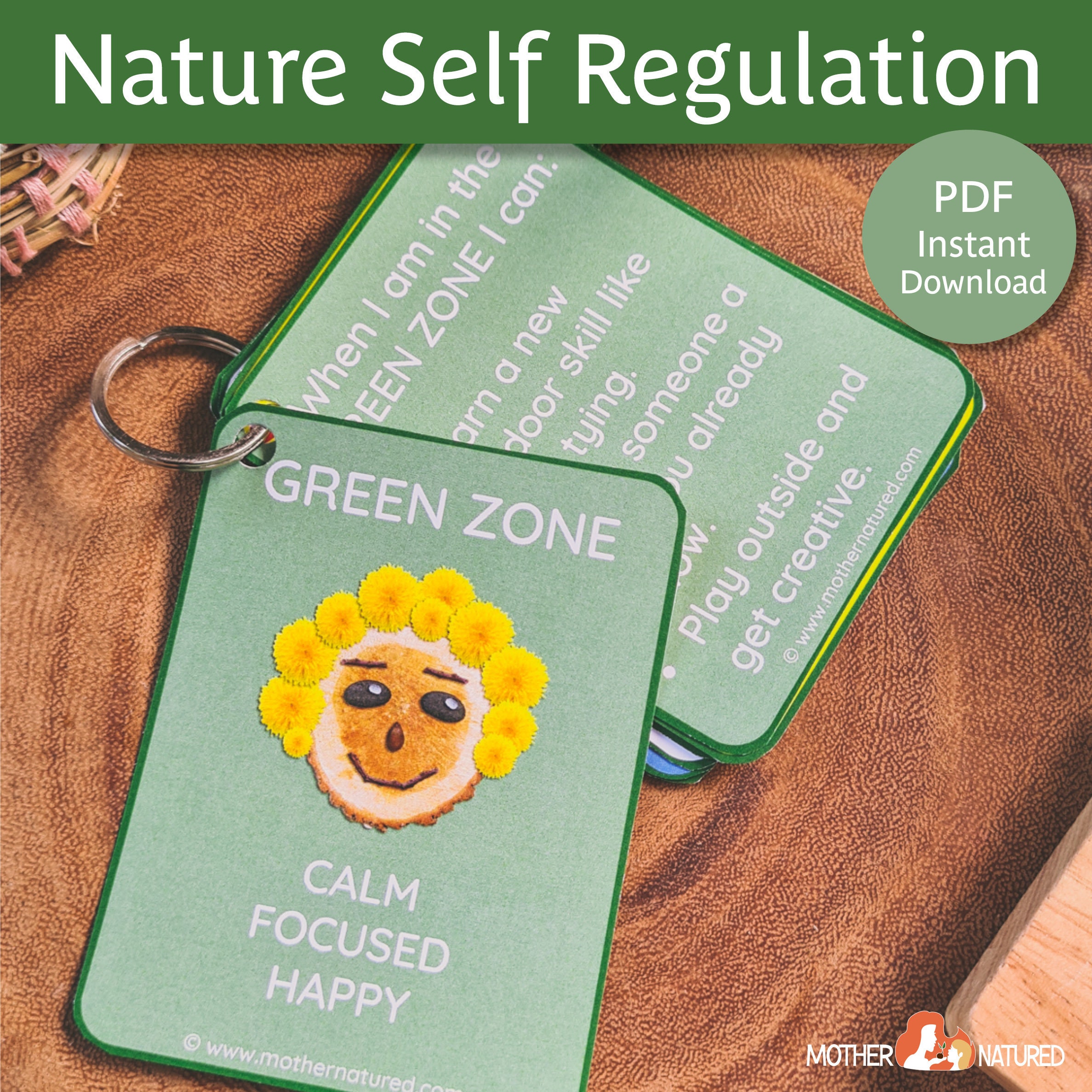 Self Regulation Cards Emotional Regulation Cards Self-regulation Zone ...