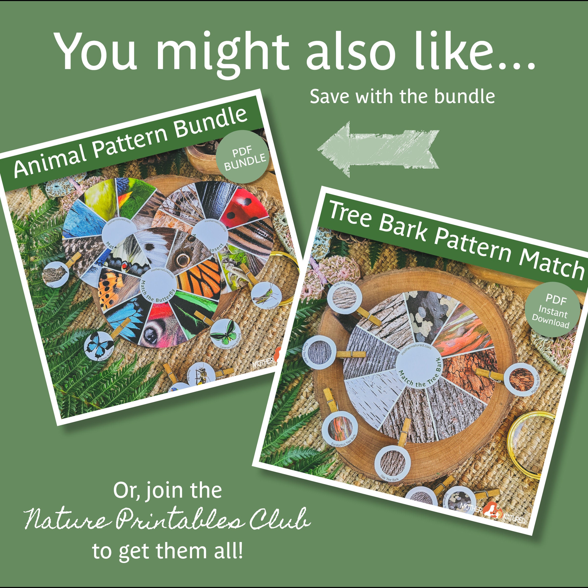 Bird Matching Activity | Bird Game | Pattern Activity | Preschool ...