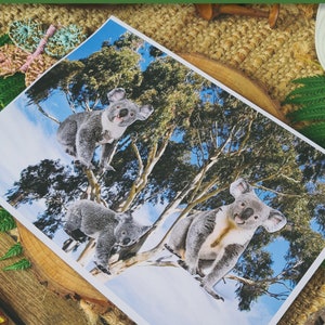 Australian Animal Puppets | Koala Puppets | Kangaroo Puppets | Wombat ...