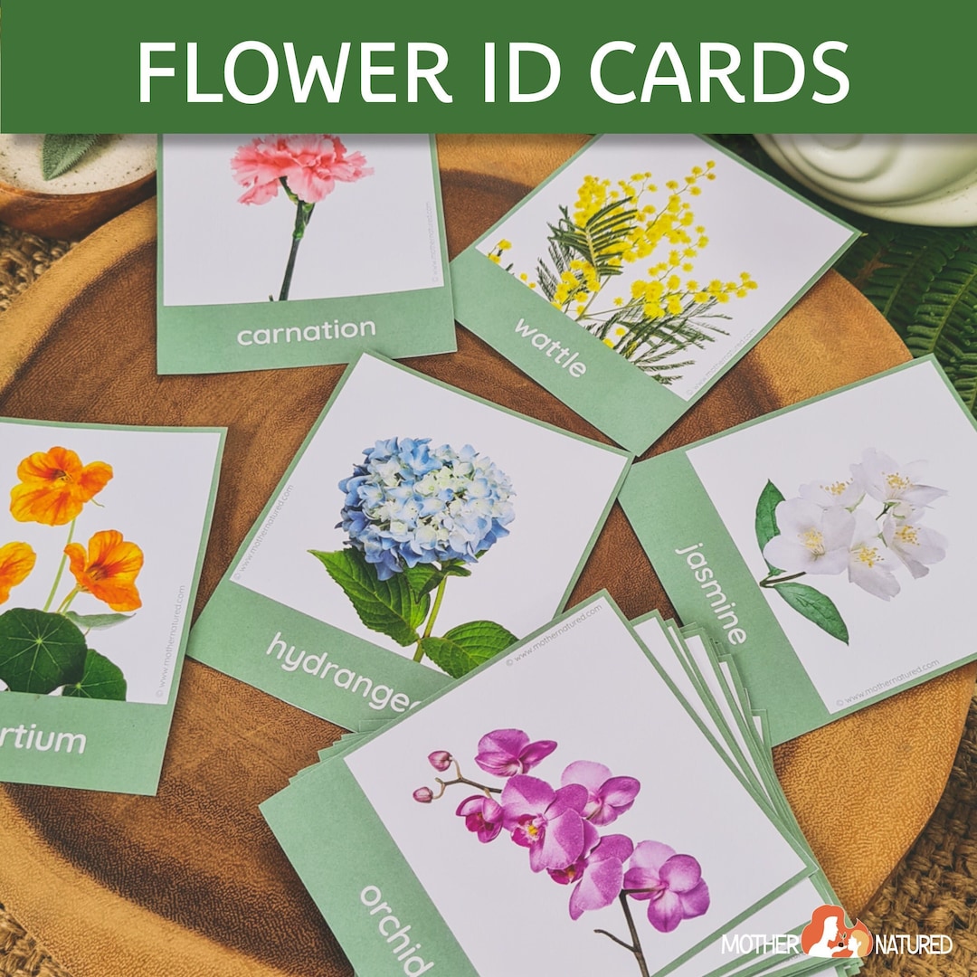 Flower Identification Cards | Flower Cards | Flower Study | Flower ...