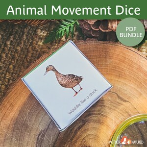 Animal Movement Activity | Animal Classification Activity | Animal ...