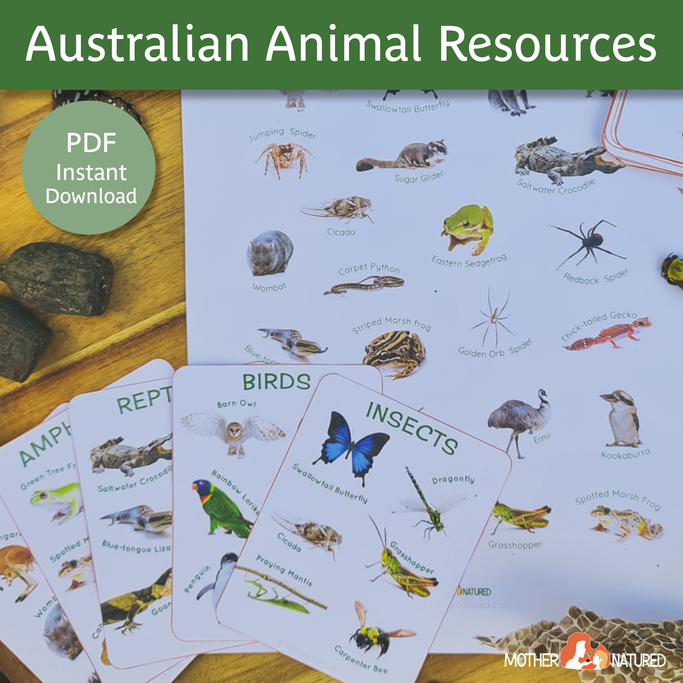 Australian Animals Preschool | Australian Animals Posters | Animal ...