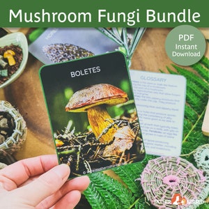 Fungi Study Bundle | Mushroom Study Bundle | Fungi Printables ...