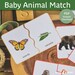 Baby Animal Match Cards Adult and Baby Animal Matching Cards - Etsy