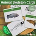 ANIMAL SKELETON MATCHING Cards for Kids | Skeleton Printable for Kids ...