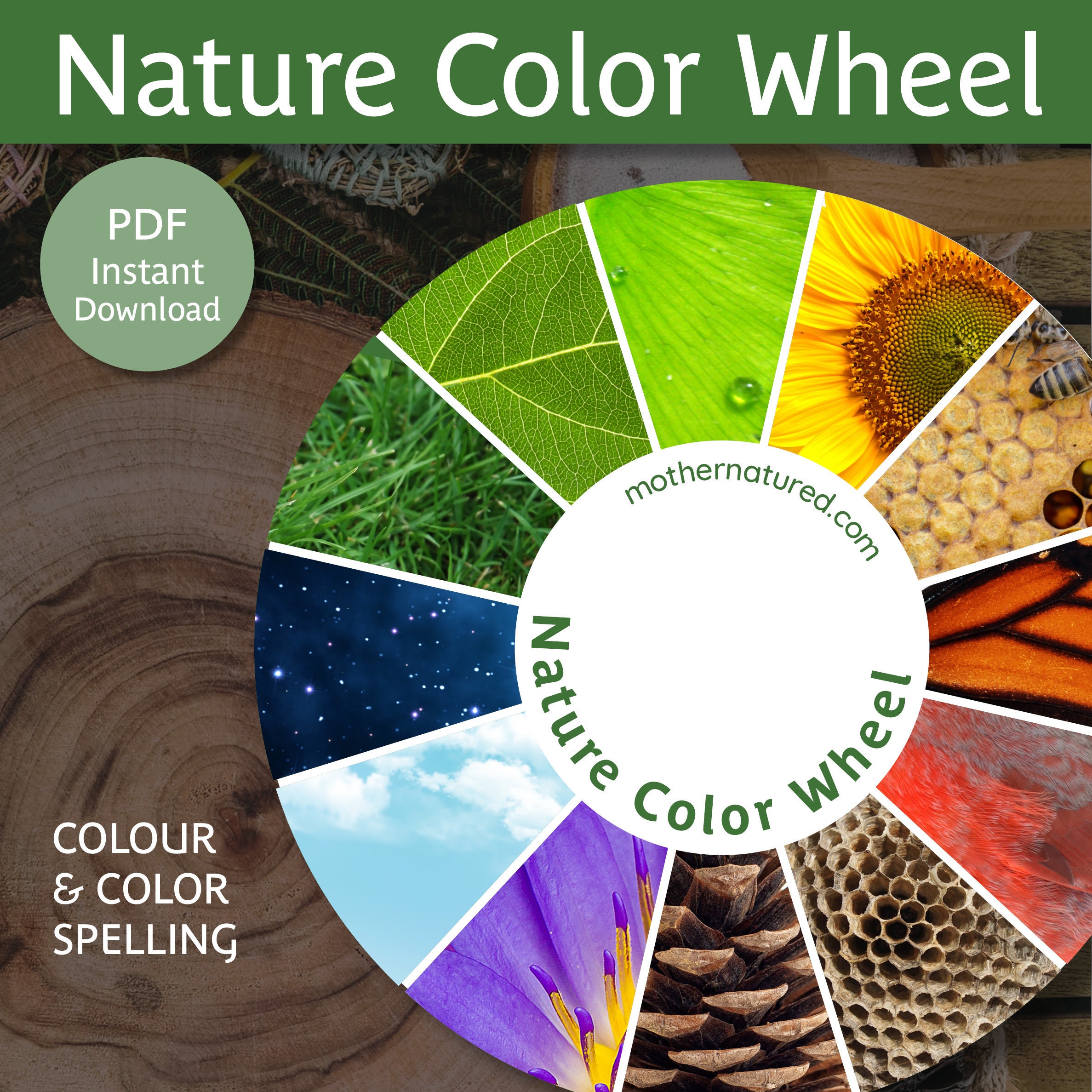 Nature Color Hunt | Nature Colour Activity | Nature Color Wheel ...