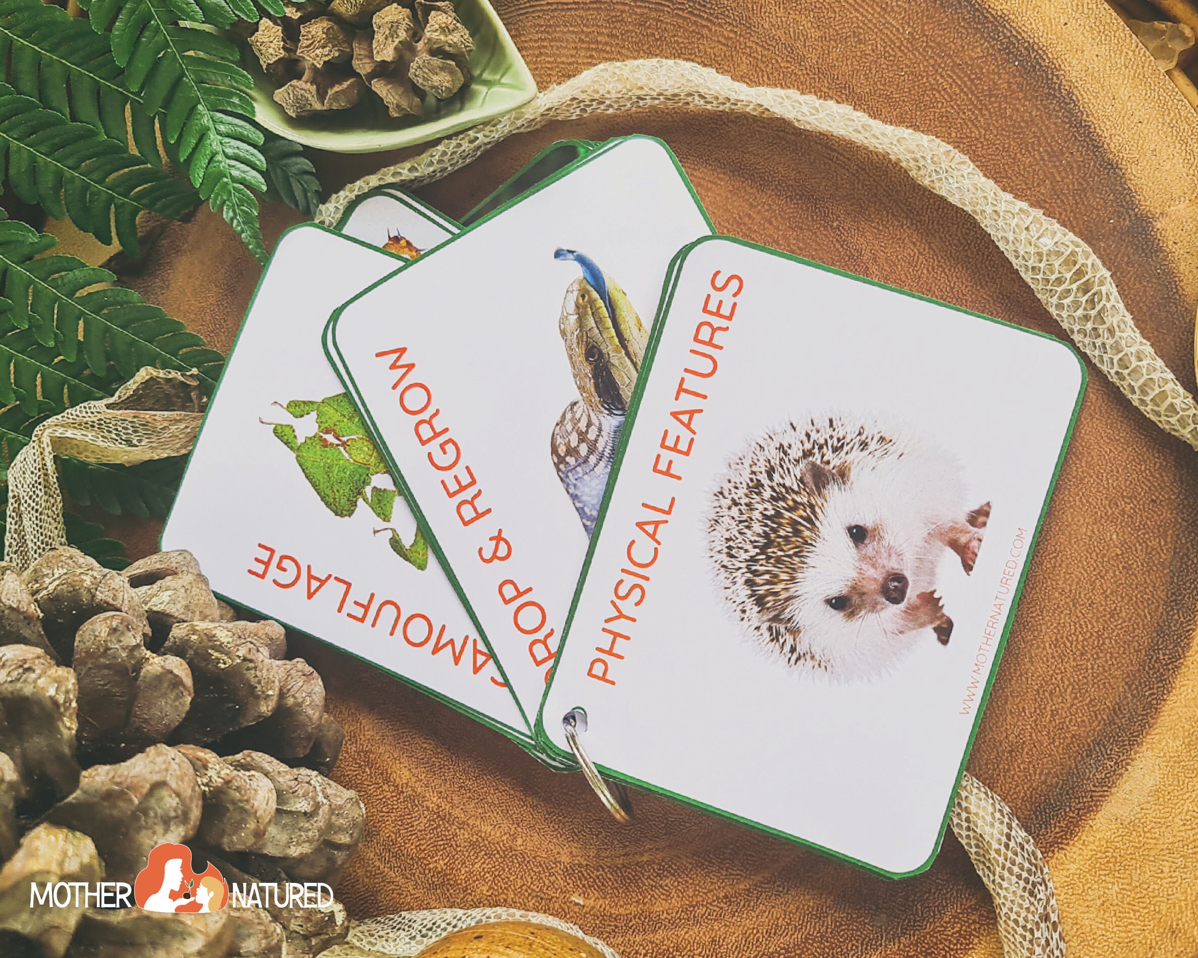 Animal Defense Mechanism Cards Defence Mechanism Cards - Etsy