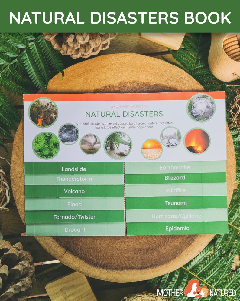 Natural Disaster Worksheet Natural Disasters Booklet Natural Disasters ...