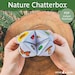 Nature Cootie Catcher | Nature Chatterbox | Nature Activity | Nature ...