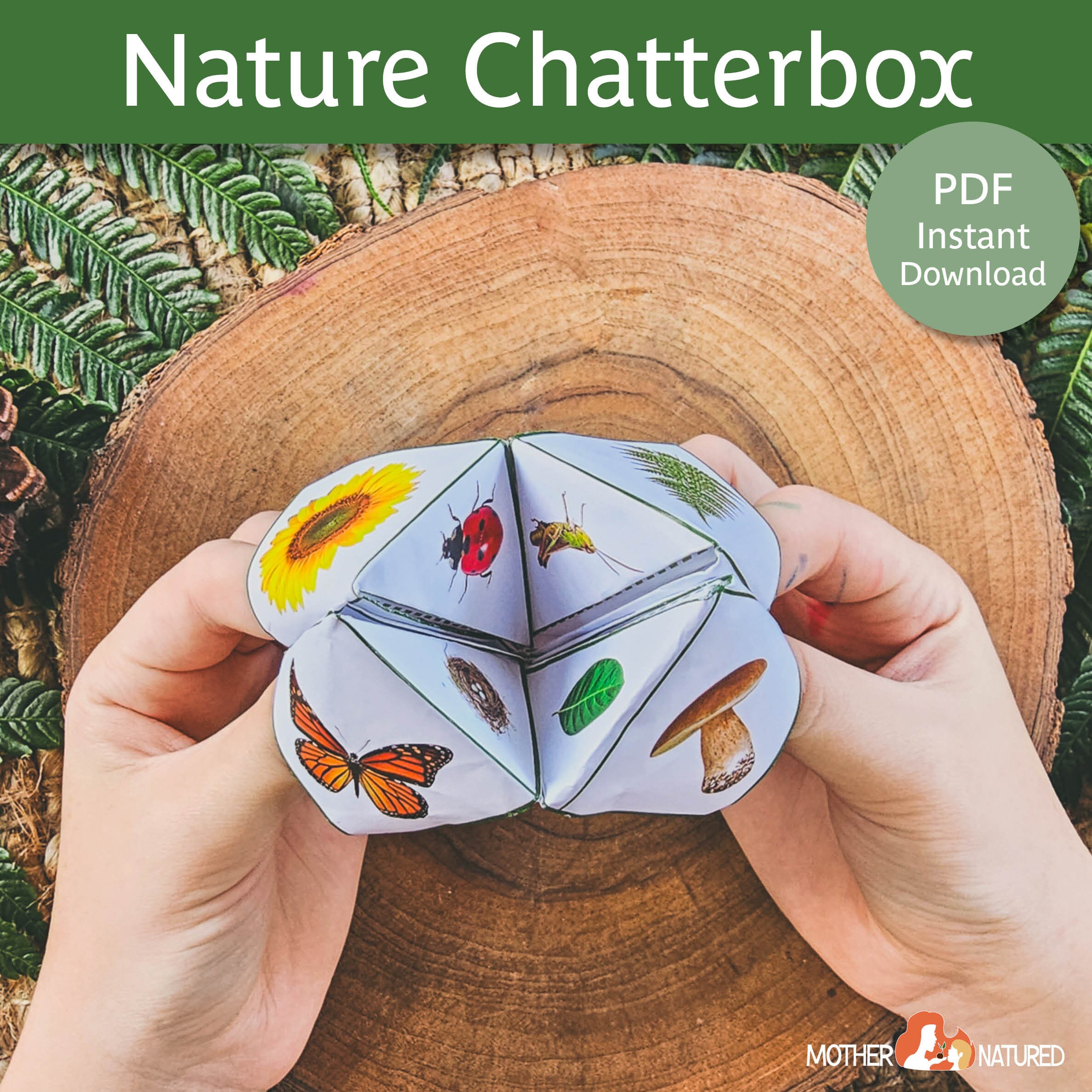 Nature Cootie Catcher | Nature Chatterbox | Nature Activity | Nature ...