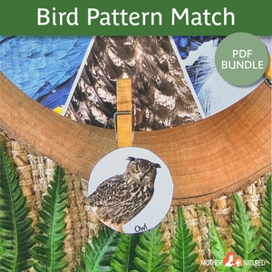 Bird Matching Activity | Bird Game | Pattern Activity | Preschool ...