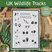 British Animal Tracks Guide Animal Tracking for Kids United Kingdom ...