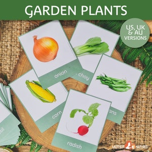 Garden Plant Printables | Garden Vegetable Poster | Garden Plant Flash ...