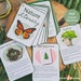 Outdoor Literacy Activities | Nature Literacy Activities | EYSF ...