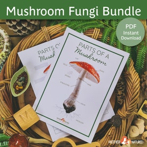 Fungi Study Bundle | Mushroom Study Bundle | Fungi Printables ...