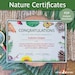 Nature Shapes Poster and Cards | Nature Shapes Preschool | Nature ...