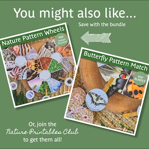 Tree Bark Matching Activity | Bark Activity | Tree Study Printable ...