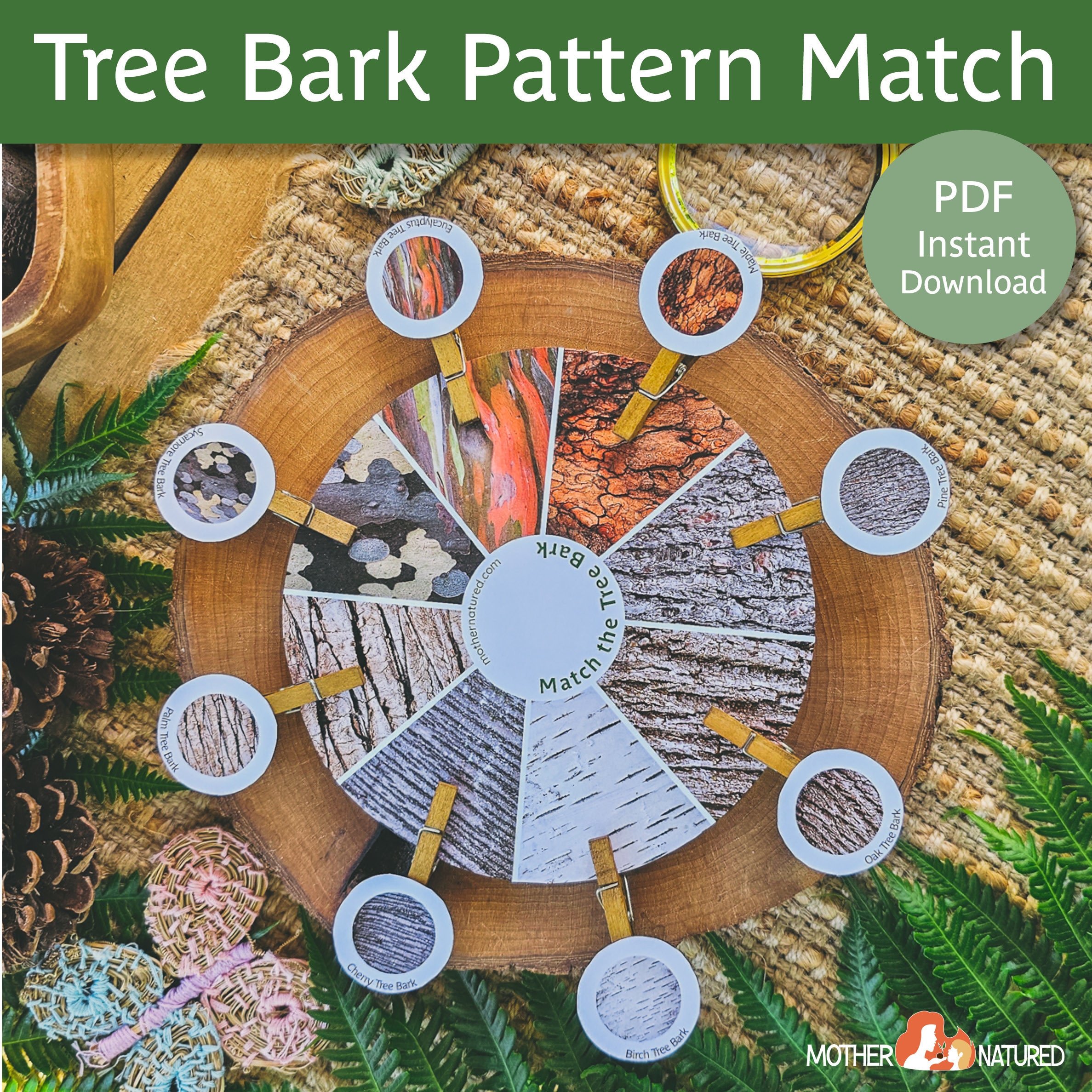 Tree Bark Matching Activity Bark Activity Tree Study Printable Tree ...