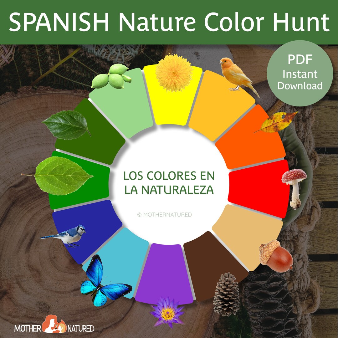 SPANISH Nature Color Wheel | Colores En Búsqueda Del Tesoro En La ...