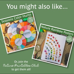 Nature Color Hunt | Nature Colour Activity | Nature Color Wheel ...