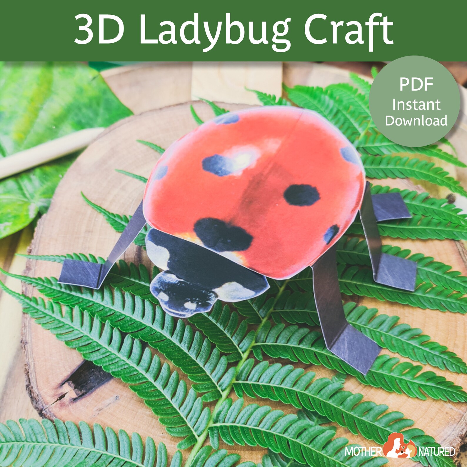 Ladybeetle Craft Ladybug Craft 3D Lady Beetle Craft Lady Bug Activity ...