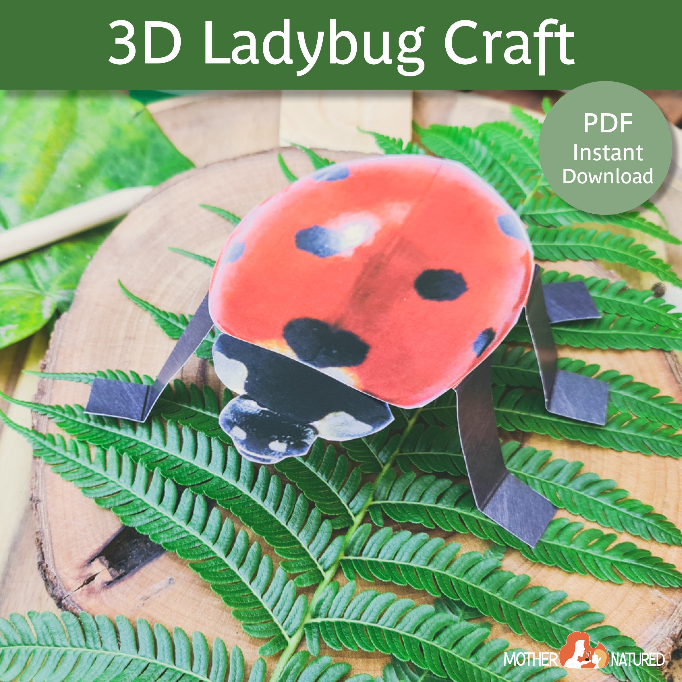 Ladybeetle Craft Ladybug Craft 3D Lady Beetle Craft Lady Bug Activity ...
