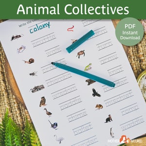 Animal Collective Noun Activities | Collective Nouns Activity ...