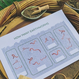 Earthworm Study Bundle Earthworm Activities Earth Worm - Etsy