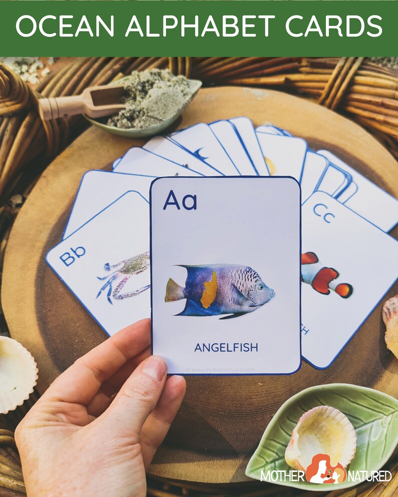 Ocean Alphabet Cards Animal Alphabet Ocean Flash Cards - Etsy