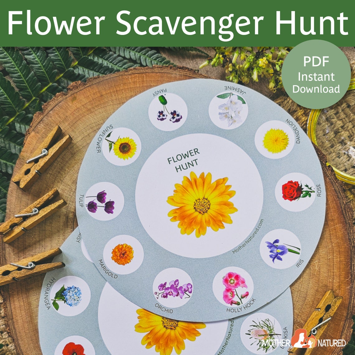 Spring Activity | Flower Scavenger Hunt | Spring Hunt | Flower ...