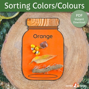 Sorting Color Activity | Sorting Colour Activity | Colour Recognition ...