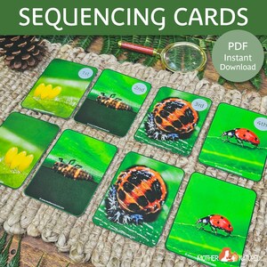 Life Cycle Sequencing Cards | Nature Sequence Activity | Wildlife ...