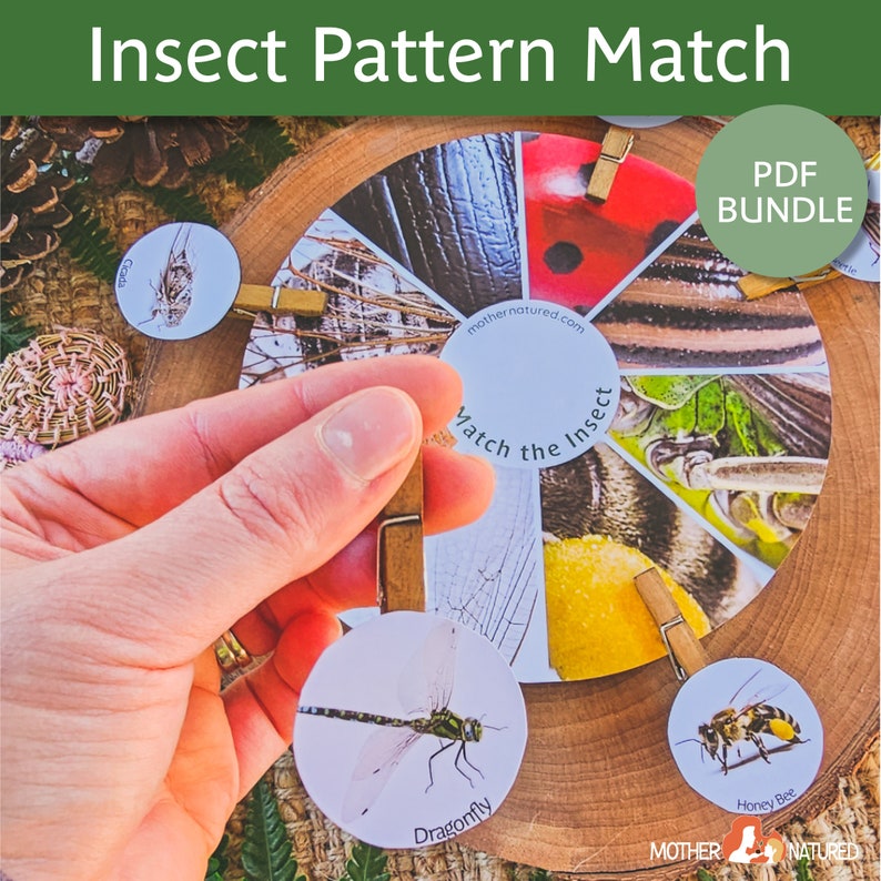 Minibeast Matching Activity Insect Game Pattern Activity Preschool ...