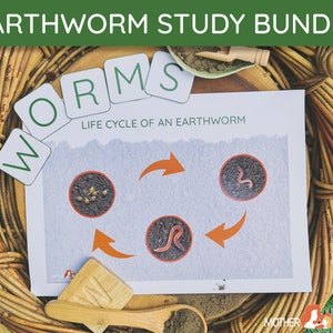 Earthworm Study Bundle Earthworm Activities Earth Worm - Etsy