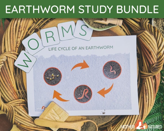 Earthworm Study Bundle Earthworm Activities Earth Worm - Etsy