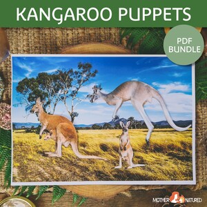 Australian Animal Puppets | Koala Puppets | Kangaroo Puppets | Wombat ...