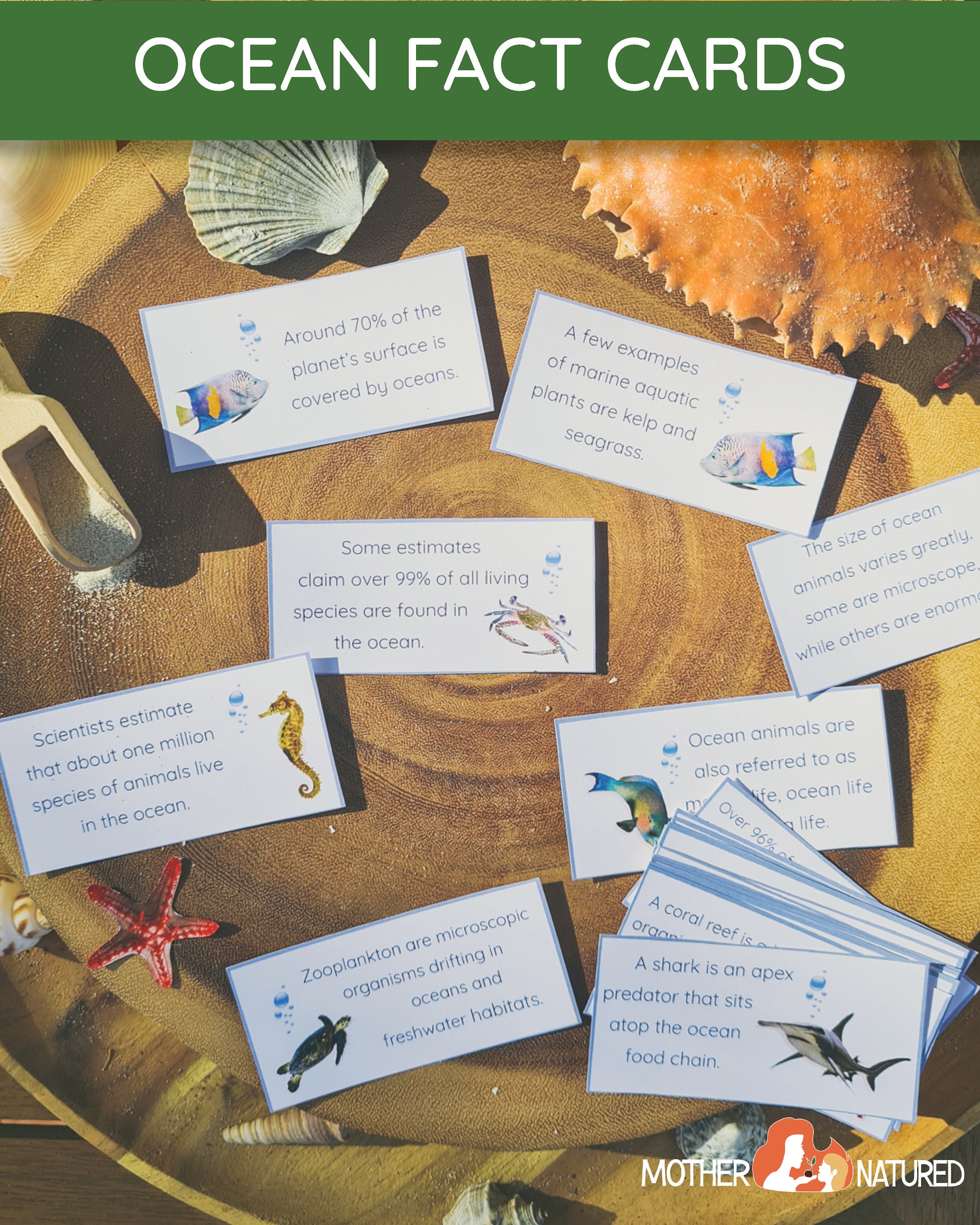 Ocean Fact Cards Ocean Cards Ocean Invitation to Play Idea - Etsy