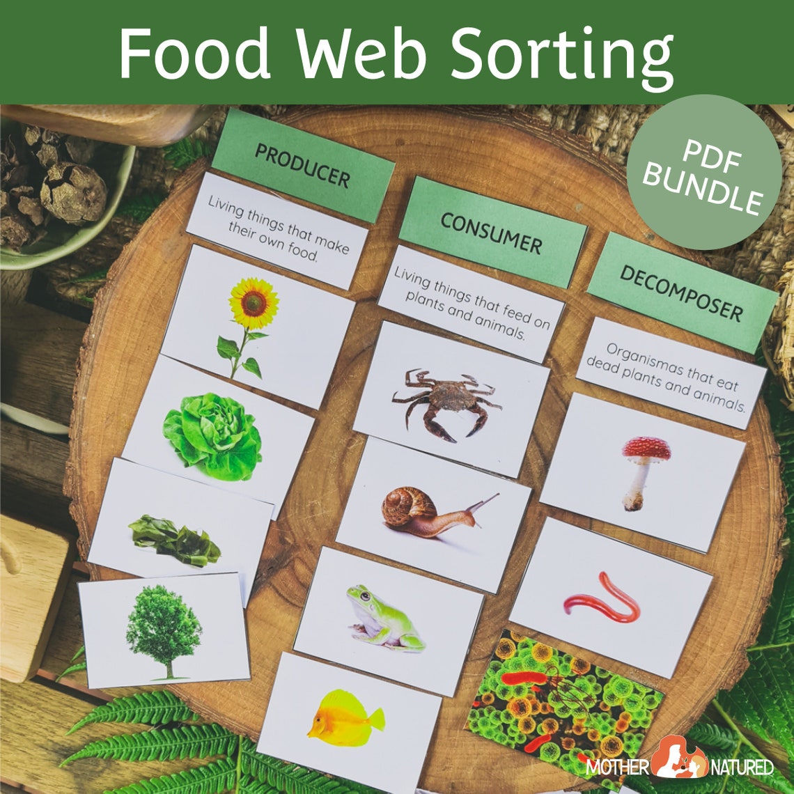 Food Chain Sorting Activity | Sort the Producers, Consumers and ...