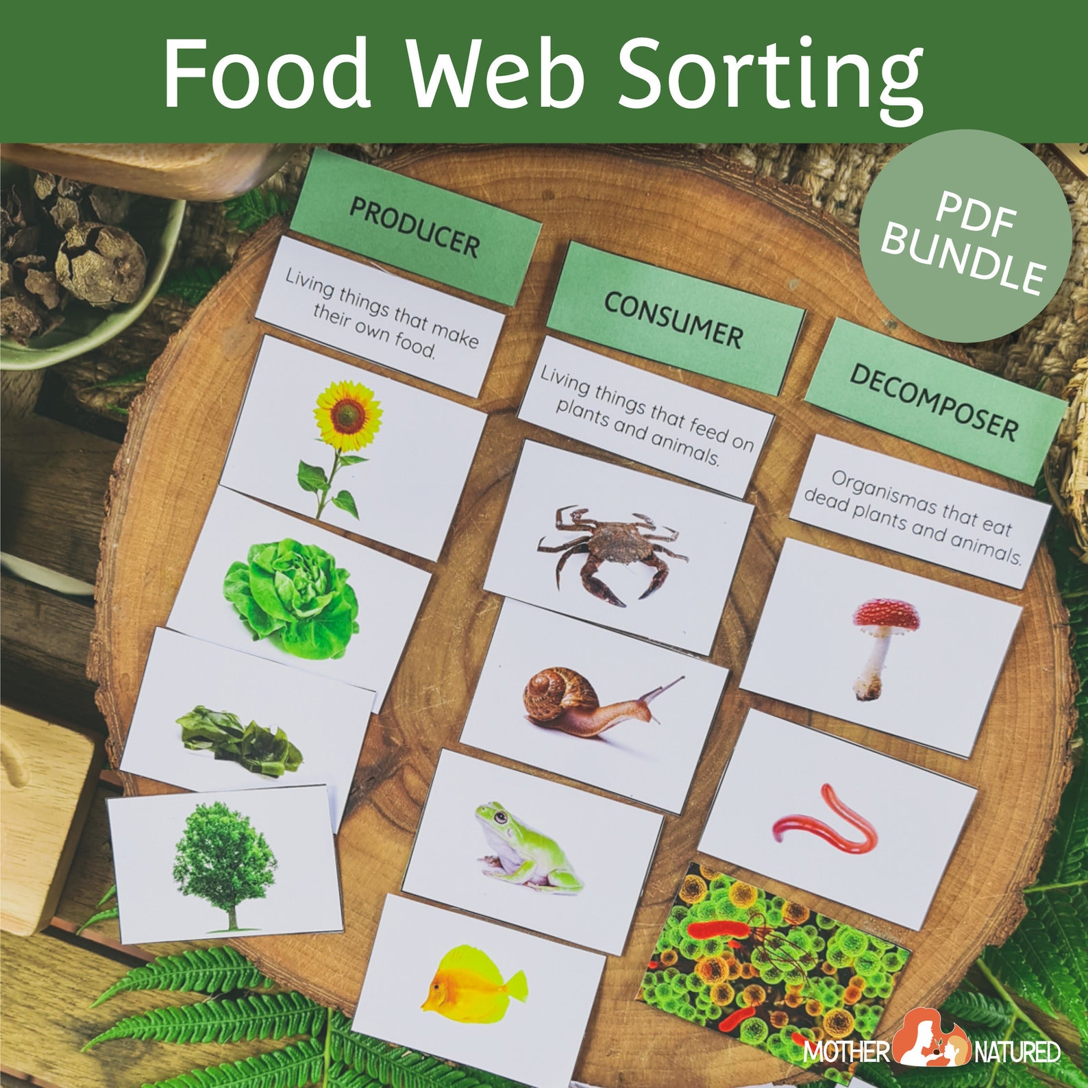 Food Chain Sorting Activity | Sort the Producers, Consumers and ...